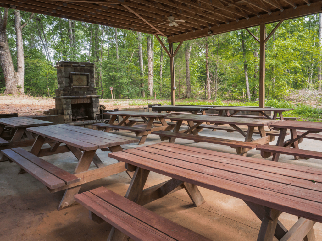 Donate to CIT - Center for Intercultural Training